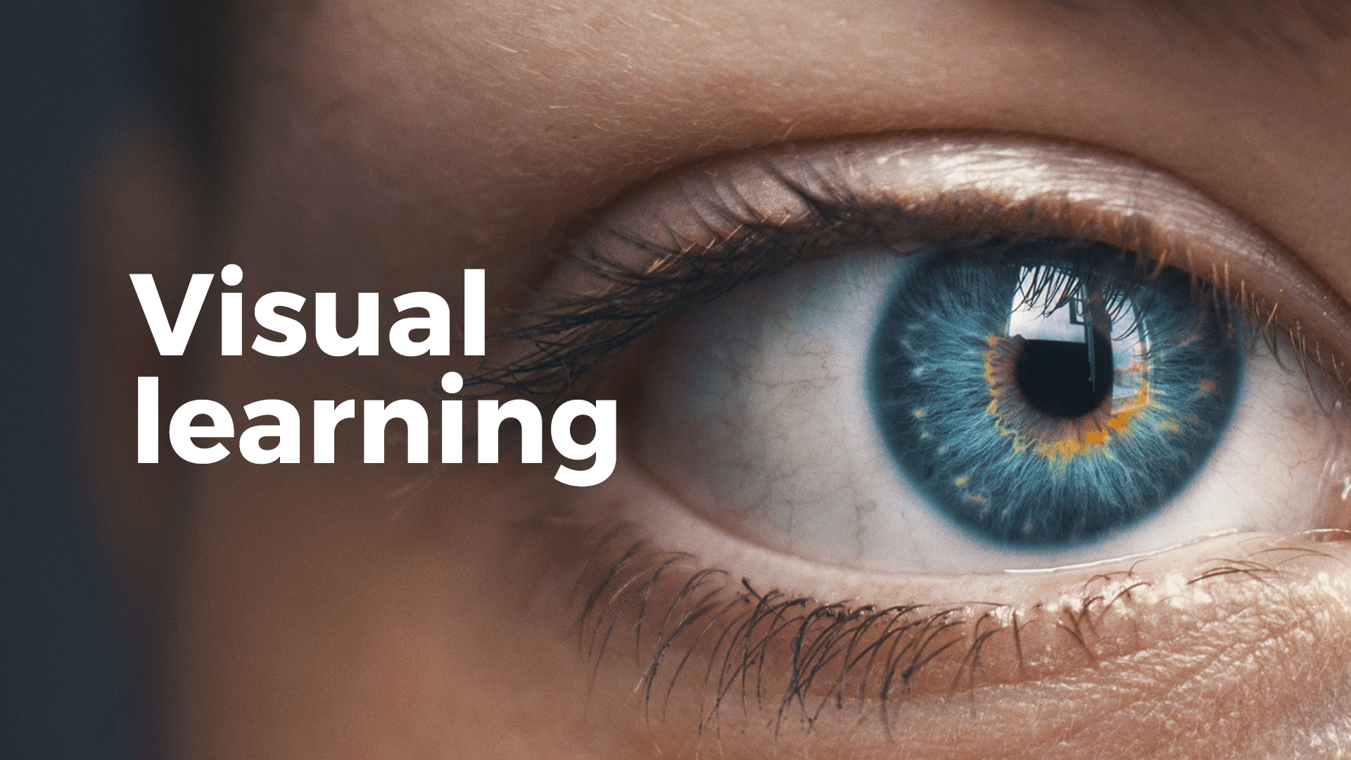 A Manifesto For Visual Learning GPAL